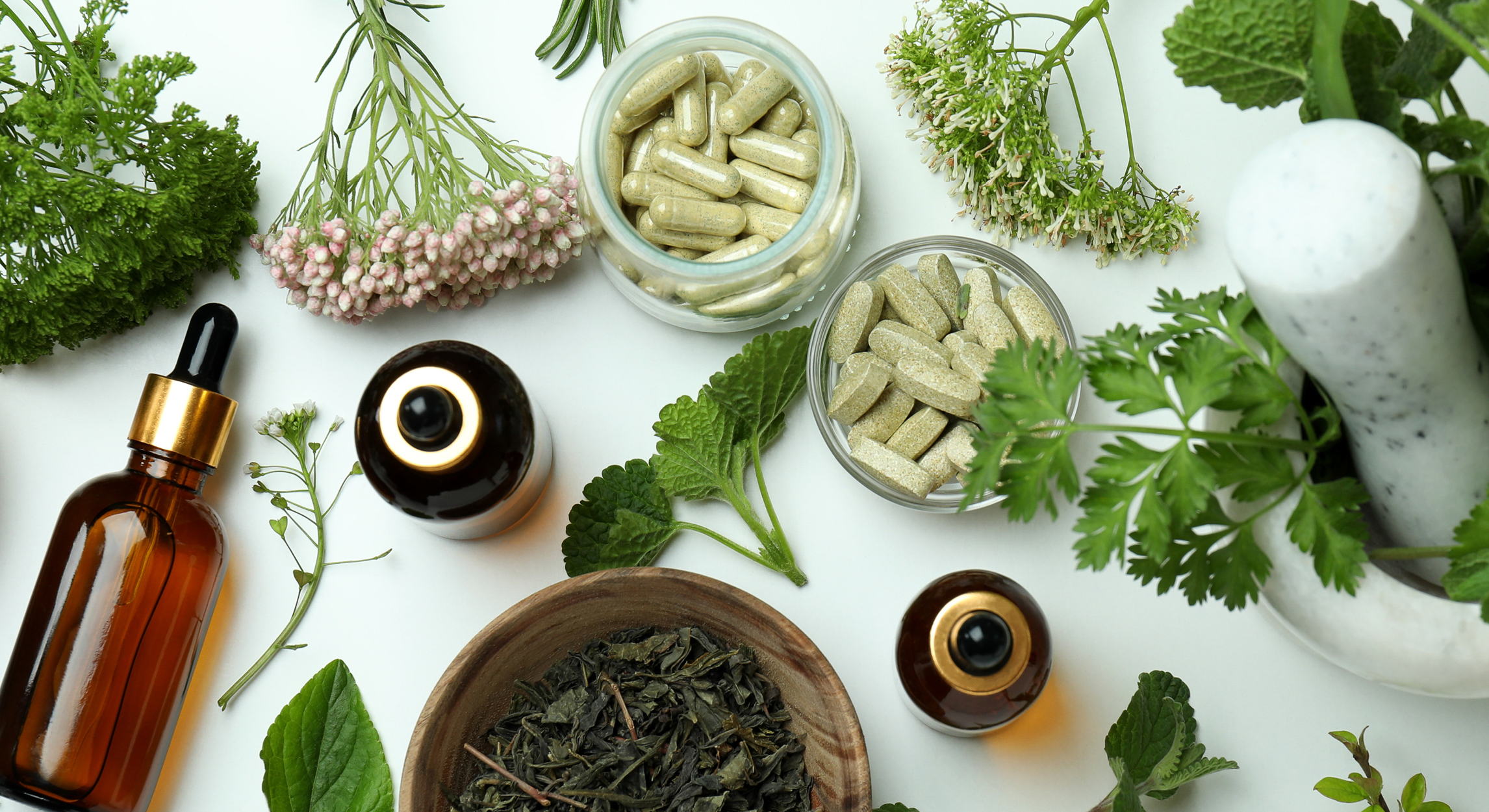 What are the differences between fat-soluble and water-soluble vitamins?